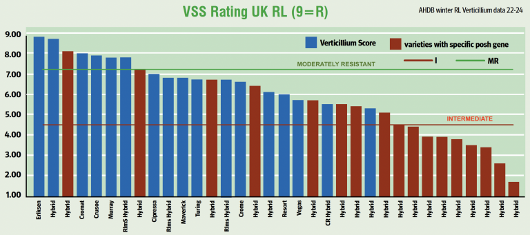 VERTICILLIUM STEM STRIPE (VSS) SEVERITY BETWEEN VARIETIES IS ...